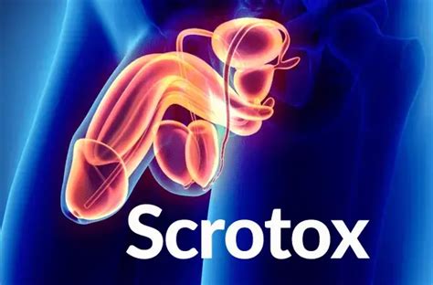 Scrotox Treatment Learn About The Procedure