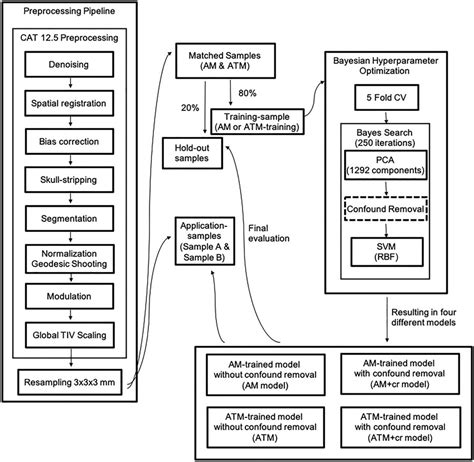 Analysis Pipeline Workflow Of The Sex Classification Analysis