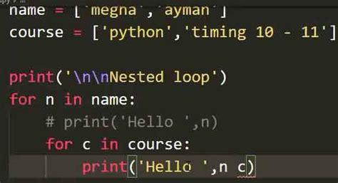 how to use for loop work in python with example