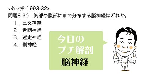 今日のプチ解剖：胸部や腹部にまで分布する脳神経は？｜かずひろ先生（黒澤一弘｜解剖学）