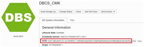 how to use customer managed tde encryption keys on vm db systems in