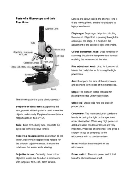 Parts Of Microscope And Their Functions Lens Optics Glass