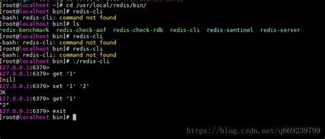 linux 虚拟机下 安装redis 虚拟机上装redis 凡尘炼心的博客 csdn博客