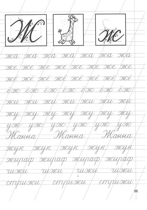 Буква ж каллиграфия как пишется