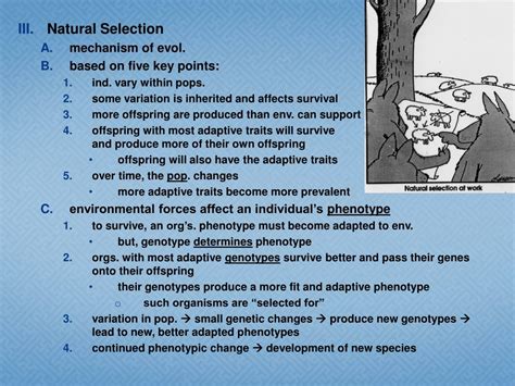 Ppt Evolution Natural Selection And Adaptation Powerpoint Presentation