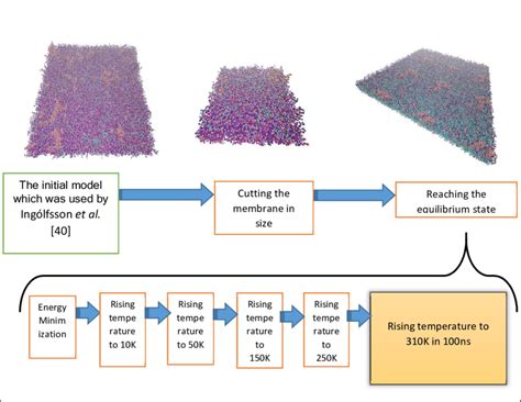 Preparing The Membrane For The Coarse Grained Simulation Download