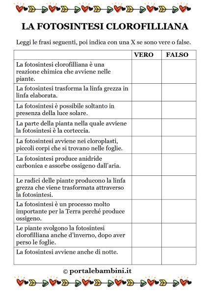 Fotosintesi Clorofilliana Come Spiegarla Ai Bambini Portalebambini It