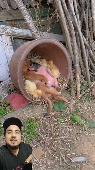 اجمل حاجة شوفتها في حياتى 🤔 Shorts Youtube