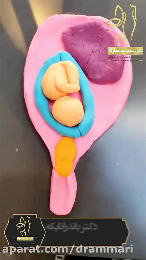 رابطه جنسی در بارداری