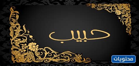 معنى اسم حبيب وصفات حامل الاسم وحكم التسمية به في الإسلام موقع محتويات