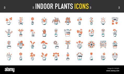 Decorative Houseplants In Pots Indoor Plants In Flower Pot Vases