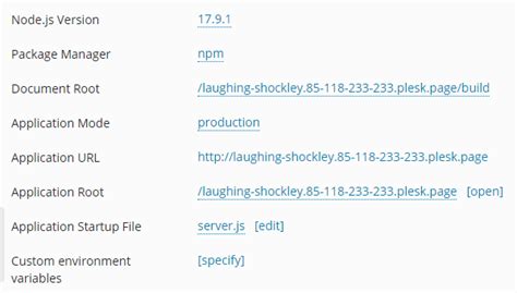 building and running next js apps on plesk