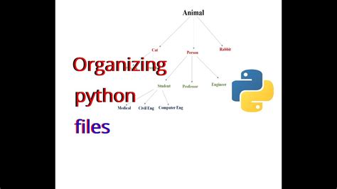 how to professionally organize python scripting youtube