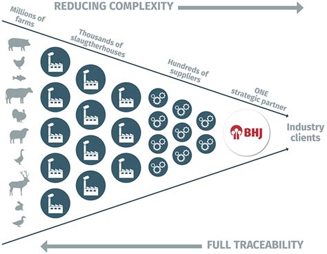 bhj how we add value reducing complexity