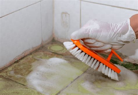 Best Way To Clean Moldy Bathroom Grout And Tiles Express