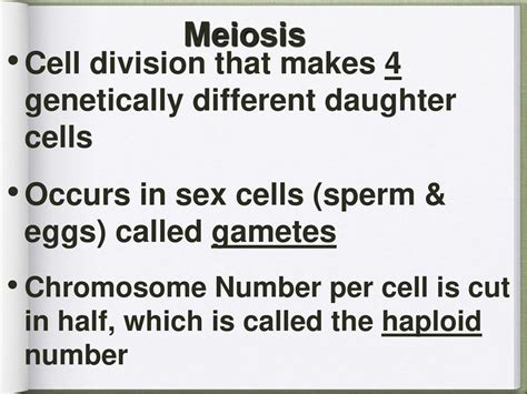 Meiosis Cell Division That Makes 4 Genetically Different Daughter Cells