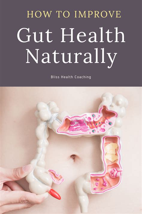 How To Improve Gut Health Naturally Improve Gut Health Gut Health