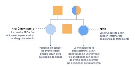 Pruebas Brca Id Az