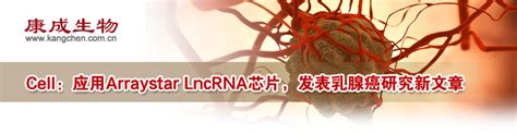 Cell：应用arraystar Lncrna芯片，发表乳腺癌研究新文章