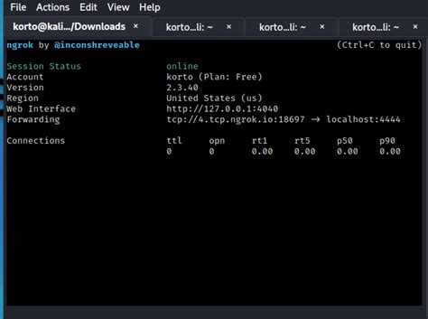 how to use metasploit over wan · issue 15184 · rapid7 metasploit