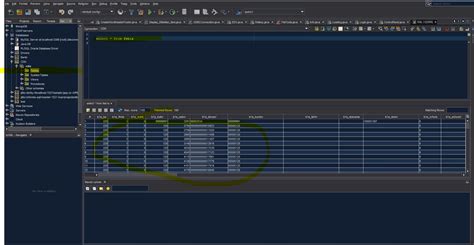 i cannot see the tables in my database informix with netbeans and i