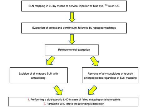 The Algorithm Of Sentinel Lymph Node Mapping For Endometrial Cancer