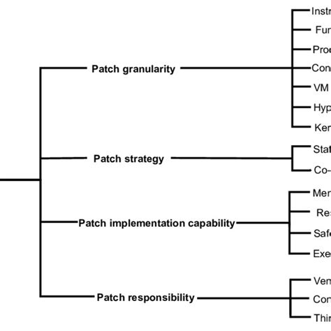 taxonomy of runtime patching download scientific diagram