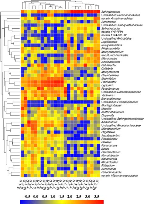 cluster analysis and heatmap showing the bacterial community