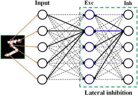 algorithms and architectures1 applications 1 techniques neural volume