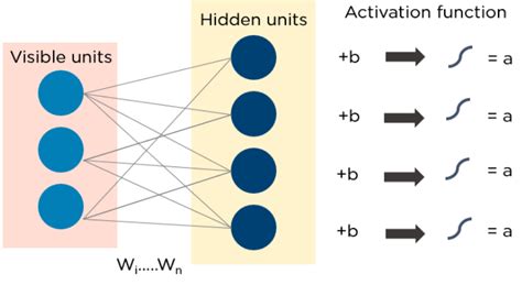 top 10 deep learning algorithms you should know in 2022