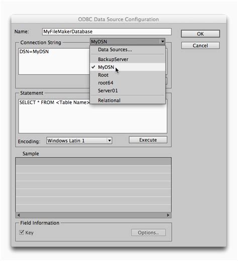 setting up easycatalog to use an odbc data source in design plugins