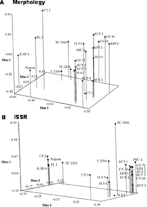 morphology a and issr b derived three dimensional plot based on