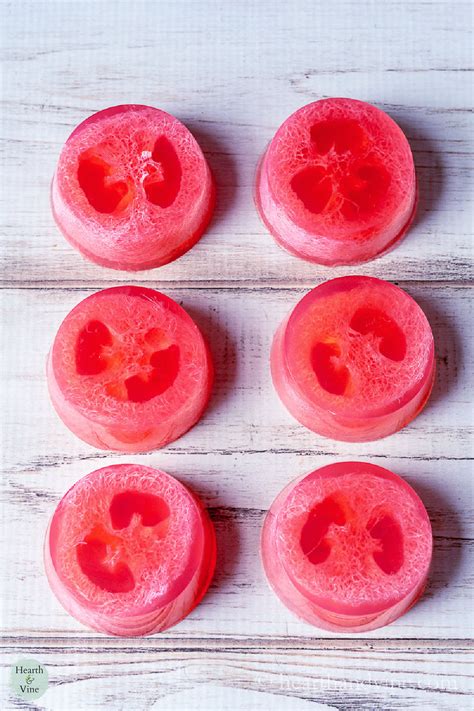 Homemade Loofah Soap Easy Tutorial Hearth And Vine