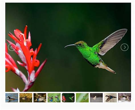 image carousel thumbnail slider with acf gallery field in