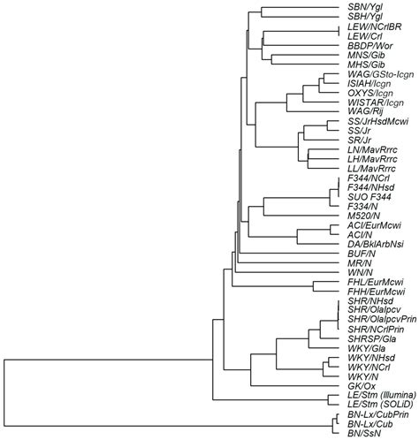 Ijms Free Full Text Single Nucleotide Polymorphisms Snps Both