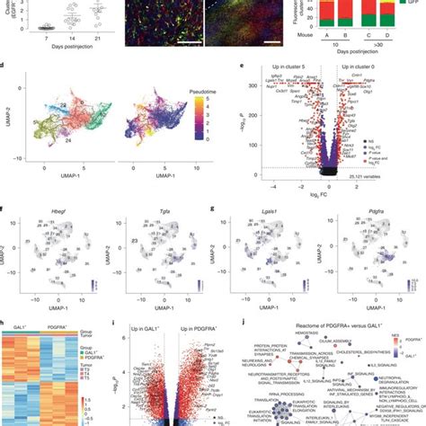 Scrna Seq Identifies Cd45 And Cd45⁺ Cell Populations In Gbm A