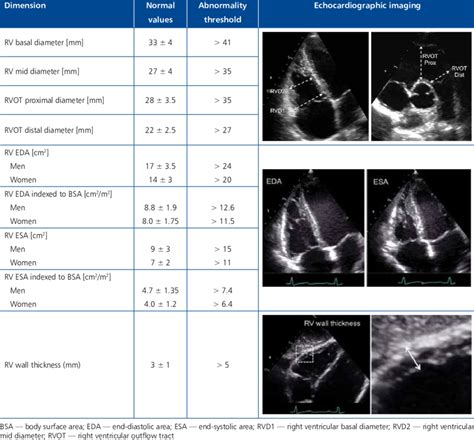 Normal Values For The Right Ventricle Rv Linear And Area Dimensions