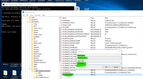 windows ora 12560 tns protocol adapter error duh microsoft did it