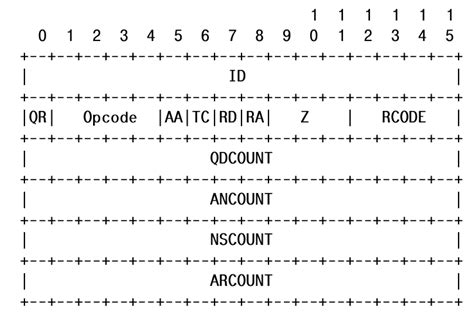 reading dns packet in python stack overflow
