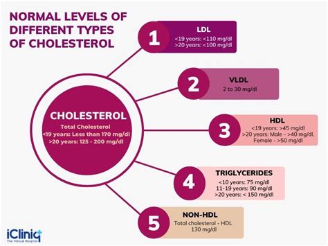 Hdl Vs Ldl Chart