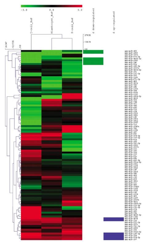 unsupervised hierarchical clustering analysis of the