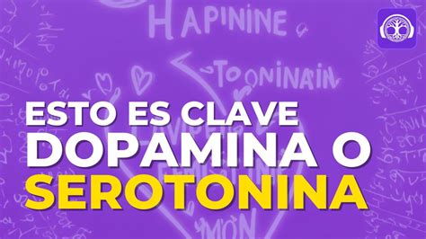 Guía Definitiva Sobre Dopamina Y Serotonina Con Sesión Incluida