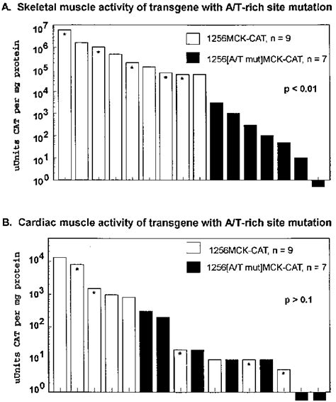 Effect Of Mutation Of The Mck Enhancer At Rich Site On Transgene
