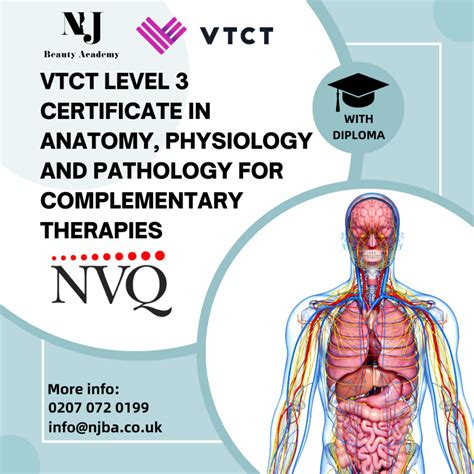 Vtct Level 3 Certificate In Anatomy Physiology And Pathology For