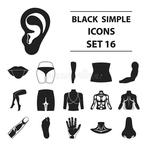 Big Collection Part Of Body Vector Symbol Stock Illustration Stock