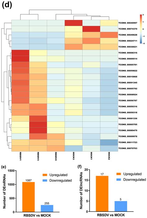 volcano maps and hierarchical clustering analysis show expression