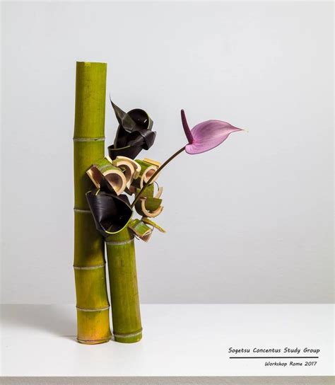 Ikebana Realizzato Durante Il Workshop Internazionale Di Ikebana