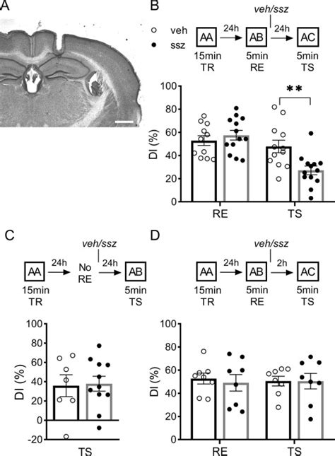 Characteristics Of The Reminder That Triggers Object Recognition Memory