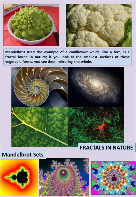 the chaos theory and fractal structure of nature