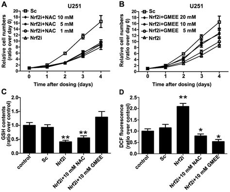 Gsh Depletion And Consequent Akt Inhibition Contribute To The Nrf2